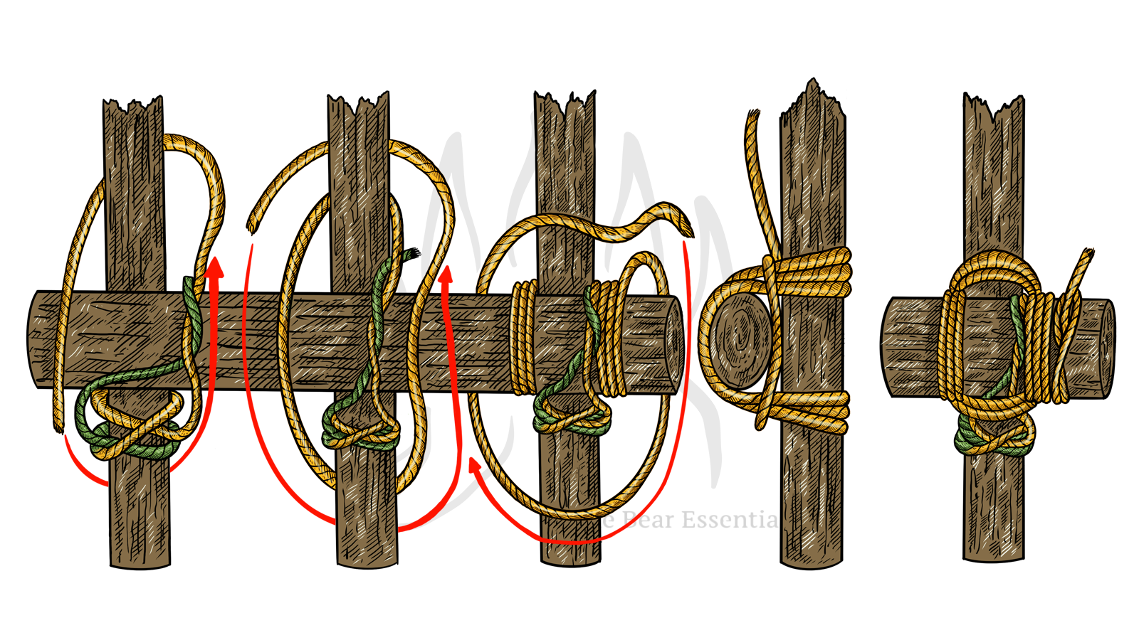 How To Tie a Square Lashing – The Bear Essentials Outdoors Co.