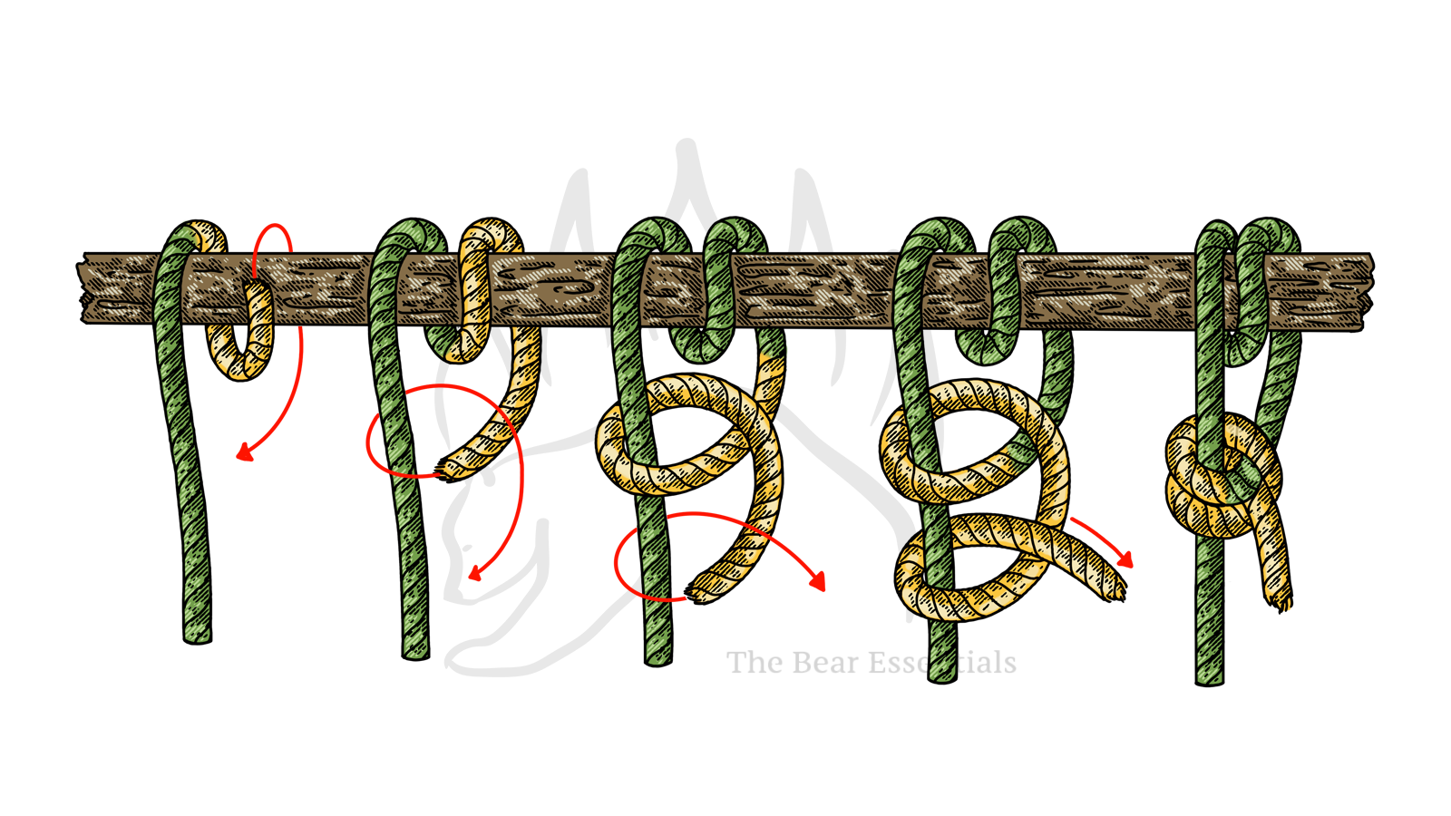 How to Tie the Round Turn and Two Half Hitches – The Bear Essentials ...