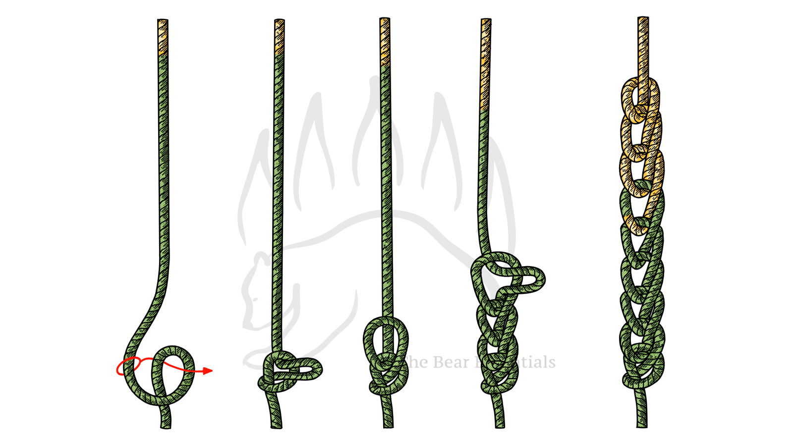 How to Tie the Daisy Chain Knot – The Bear Essentials Outdoors Co.