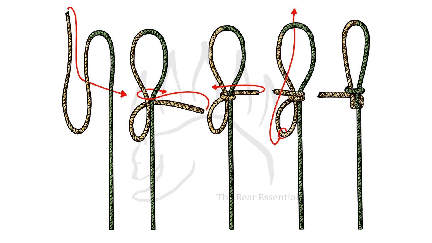 How to Tie The Double Dragon Loop Knot (Mid Line) – The Bear Essentials ...