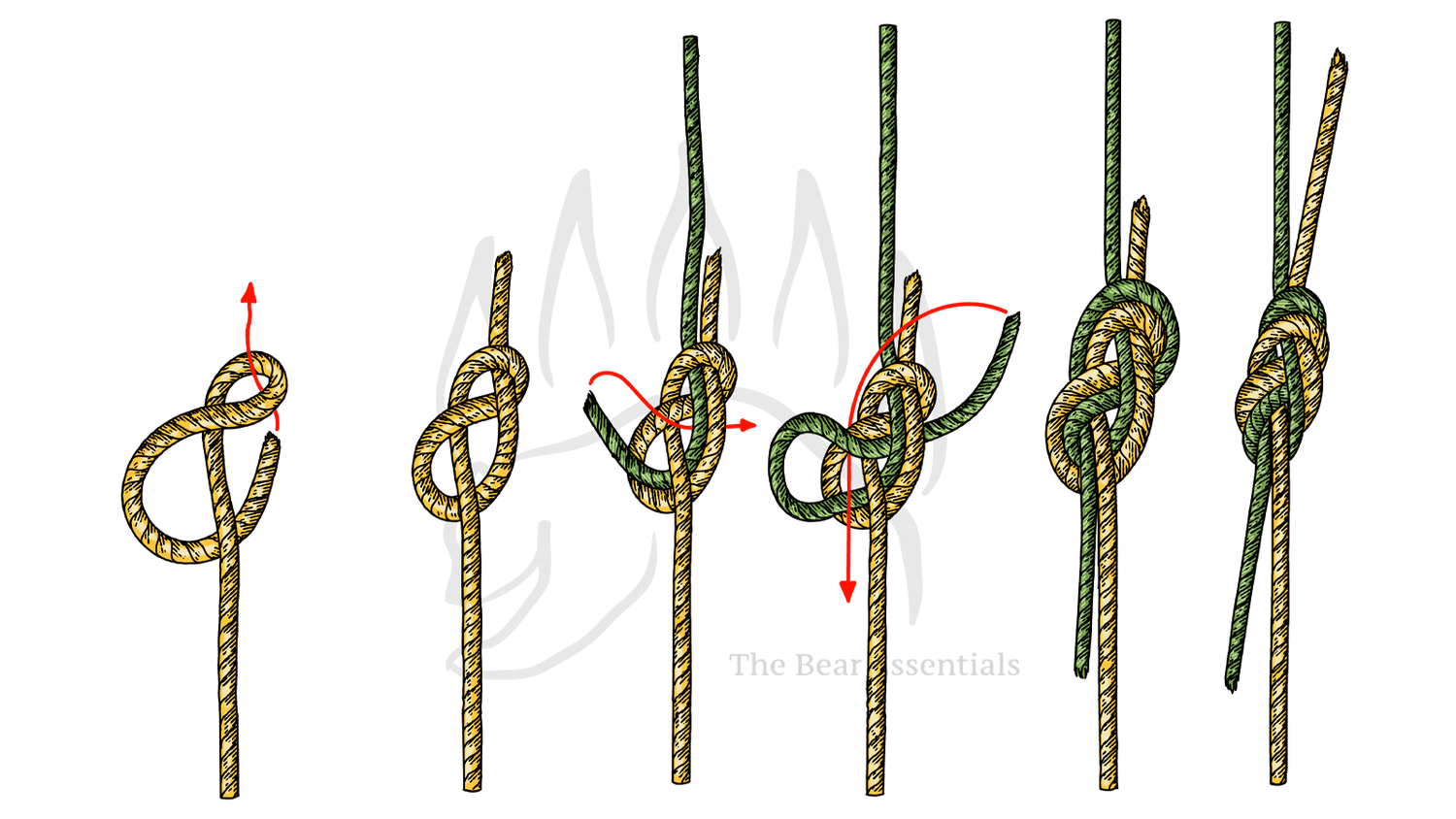 How to Tie the Figure Eight Bend – The Bear Essentials Outdoors Co.