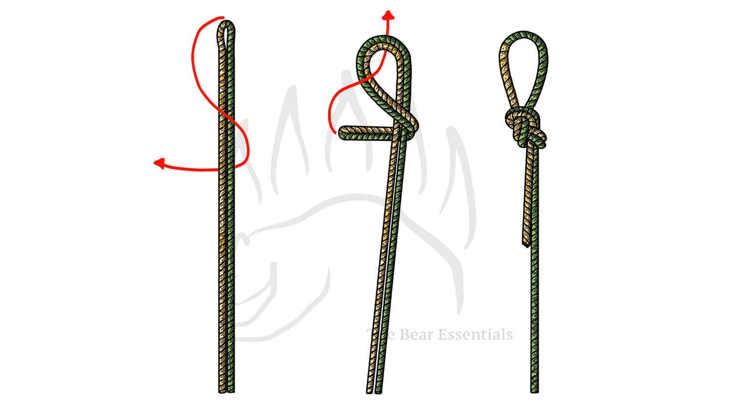How to Tie the Figure Eight Loop – The Bear Essentials Outdoors Co.