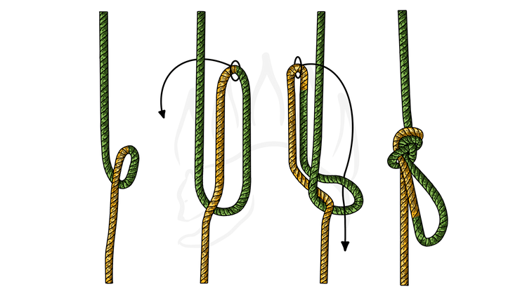 How to Tie The In-Line Figure Eight Knot – The Bear Essentials Outdoors Co.