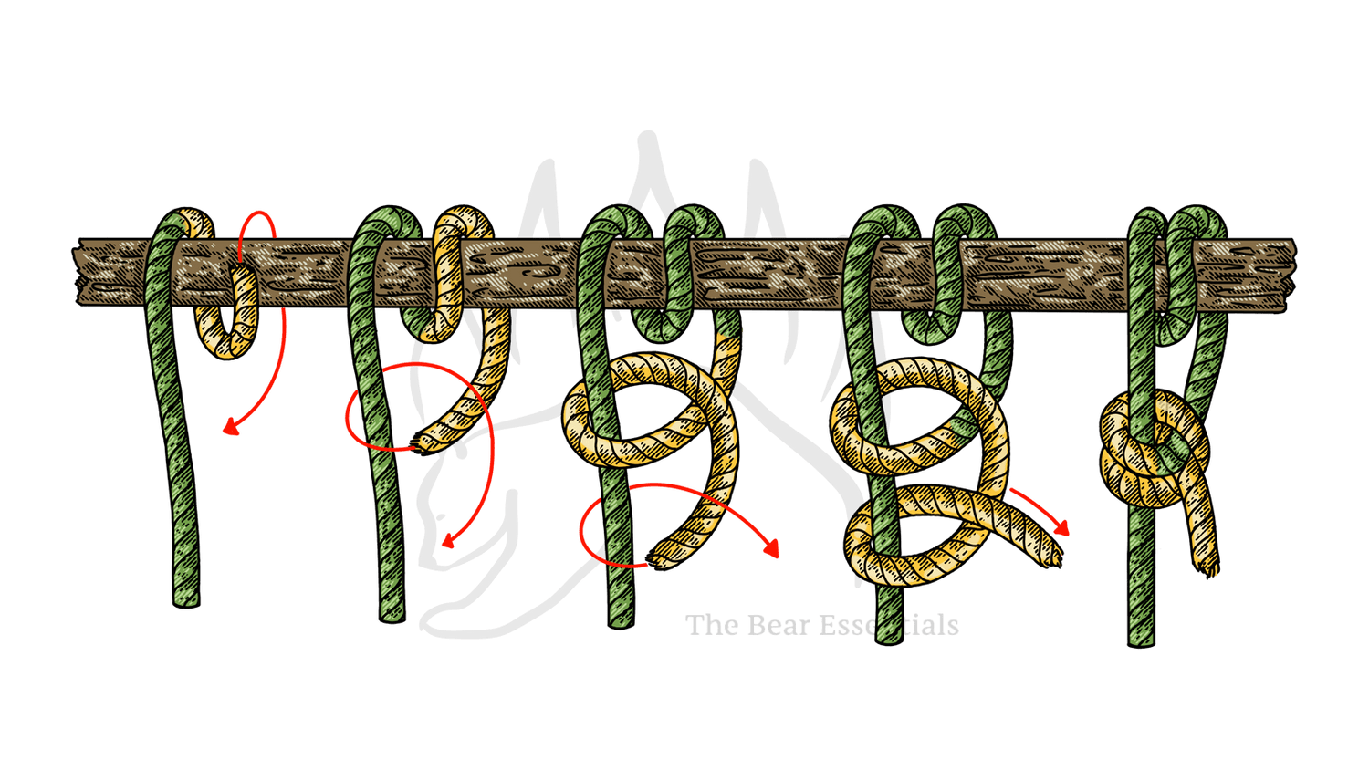 How to Tie the Round Turn and Two Half Hitches – The Bear Essentials ...