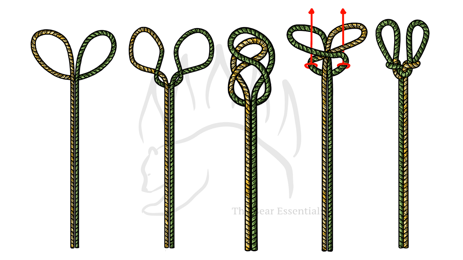 How to Tie the Spanish Bowline – The Bear Essentials Outdoors Co.