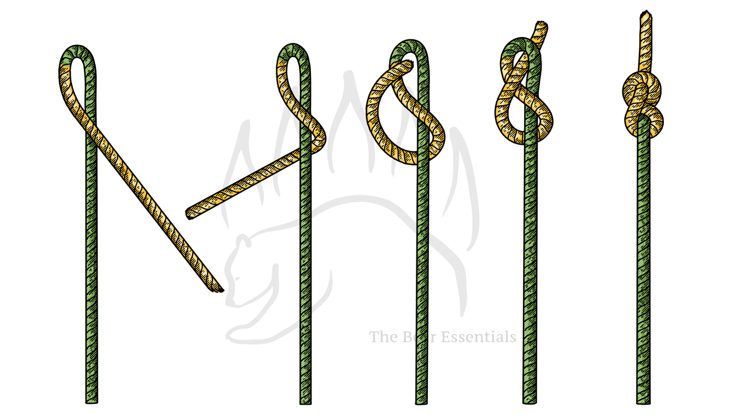 How to Tie The Standard Figure Eight Knot – The Bear Essentials ...