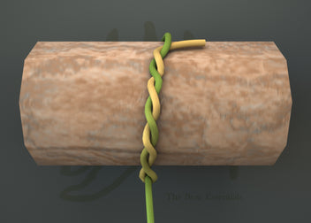 How to Tie the Timber Hitch – The Bear Essentials Outdoors Co.